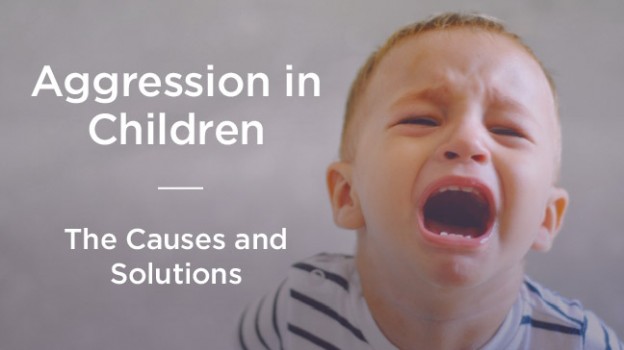 Aggression in Children: Causes and Solutions - Arlene Howard PR